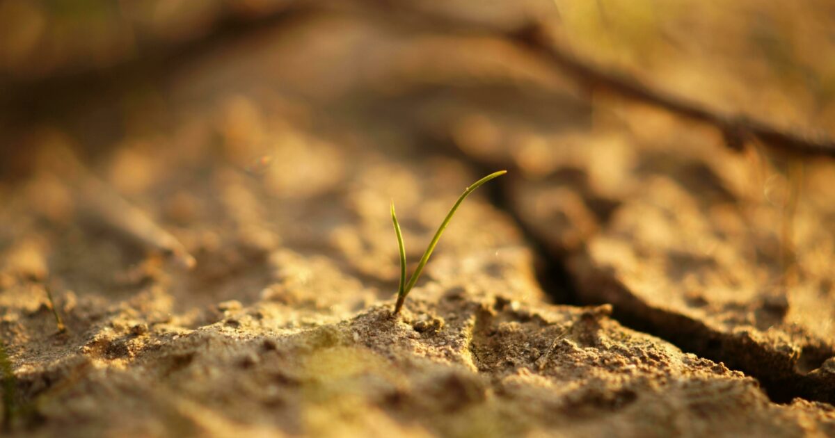 Our Top 10 Insights on Building (and Rebuilding)… | Lawrence & Co.